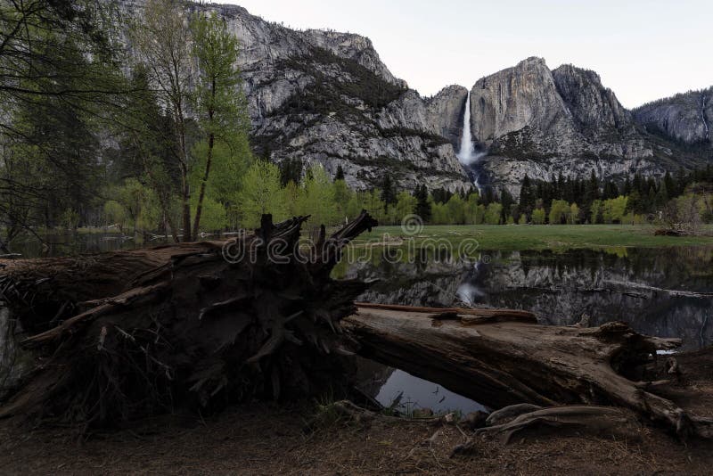 Yosemite Falls and Reflection on Merced River, El Capitan Meadow ...