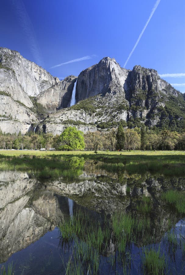 Yosemite Falls in spring stock photo. Image of pristine - 19722008