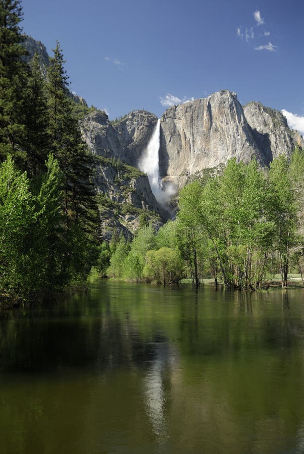 Yosemite Falls in spring stock photo. Image of green, wilderness - 5401152