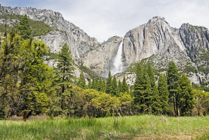 Yosemite fields of green stock photo. Image of merced - 2437326
