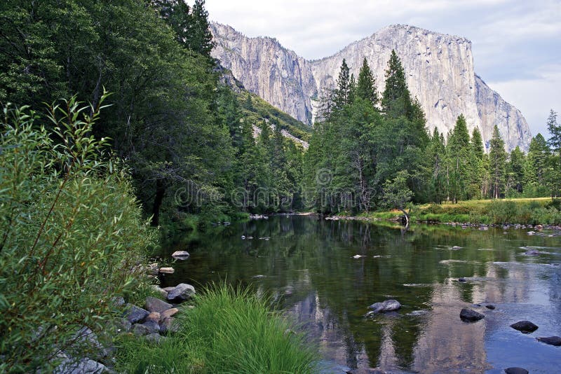 Merced River stock photo. Image of ripples, evergreen, vacation - 8054