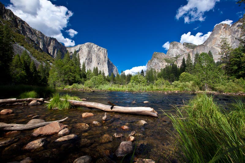 Yosemite National Park, Merced River Stock Image - Image of wild ...