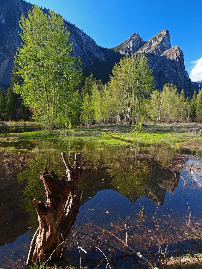 Yosemite National Park in Spring Stock Photo - Image of green, nature ...