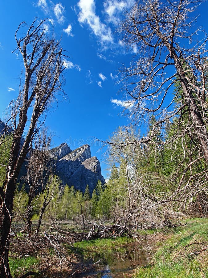 Yosemite National Park in Spring Stock Photo - Image of blue, peaceful ...