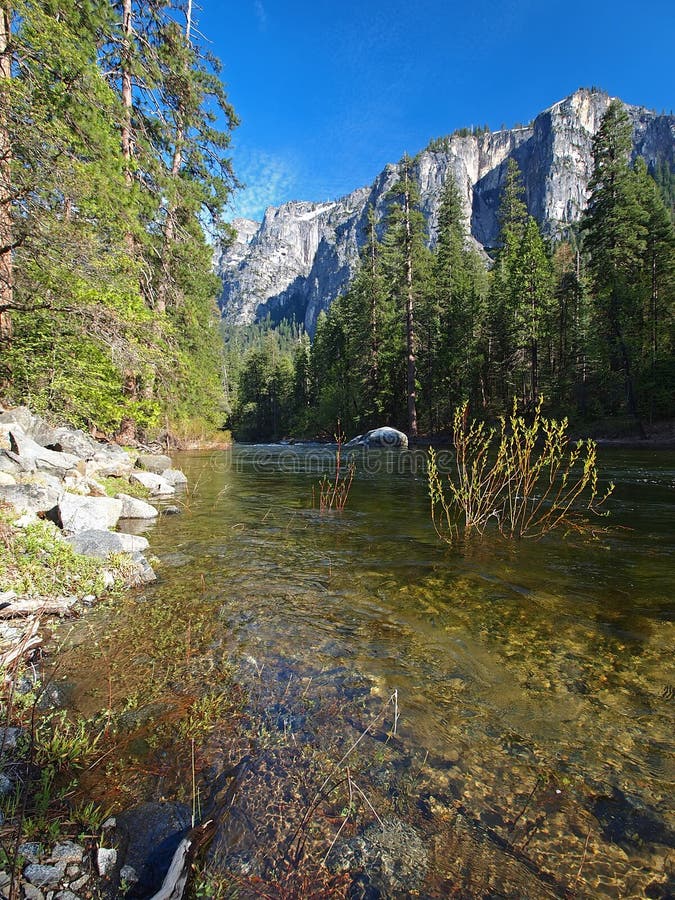 Yosemite National Park in Spring Stock Image - Image of environment ...