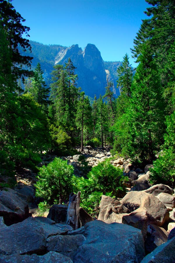 El Capitan View in Yosemite Nation Park Stock Photo - Image of nature ...