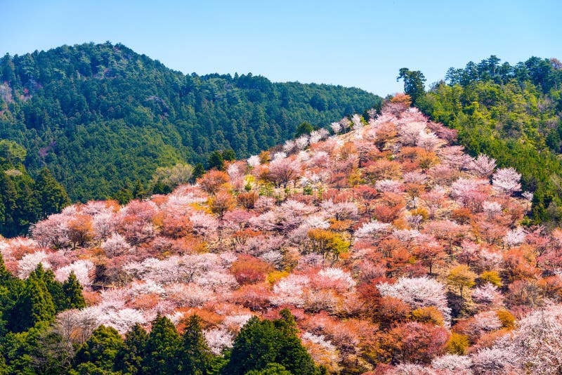 Yoshinoyama, Nara, Japan stock image. Image of place - 64788453