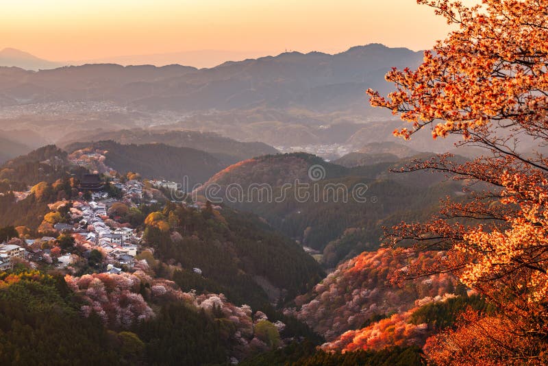 Yoshinoyama, Nara, Japan in Spring Season Stock Photo - Image of asian ...