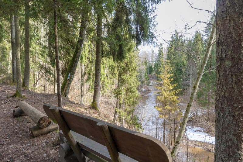 In a Wooded River with Rocks and Trees in the Background, White Horses ...
