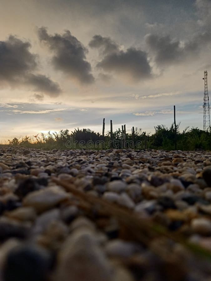 You Can See the Sun Setting on the Western Horizon, Forest, Rocky Coast ...