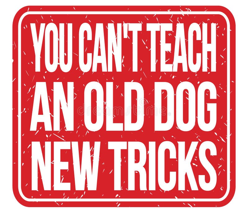 Cant Teach Tricks To An Old Dog Cant Teach Tricks To An Old Dog