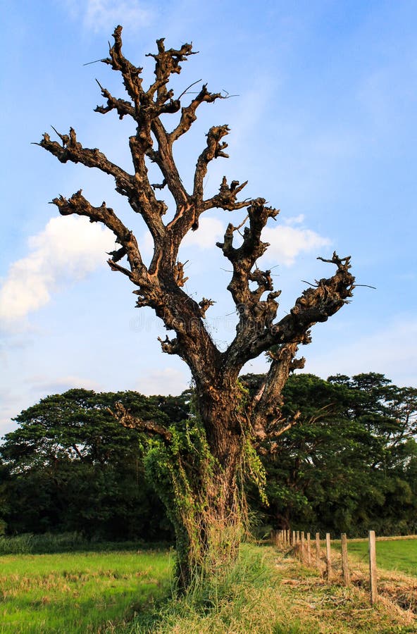 When You Die, it Doesn T Mean Your Useless Stock Photo - Image of ...