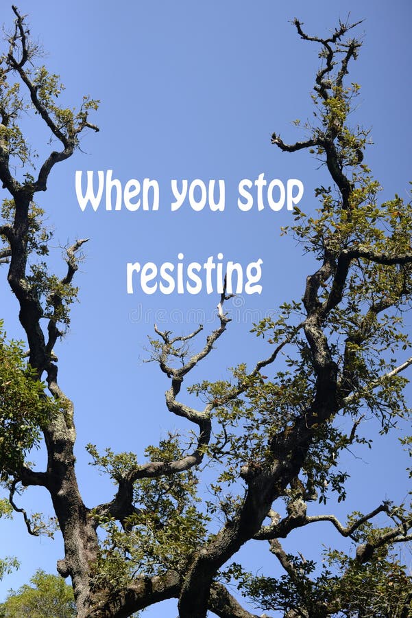 When you stop resisting stock image. Image of resisting - 315440527