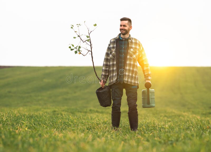 The Yound Gardener is Going To Plant a Tree in the Field. Stock Image ...