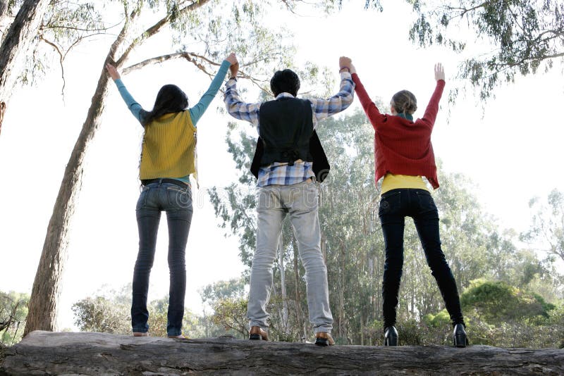 Couple Cheering stock photo. Image of beautiful, excited - 1375262