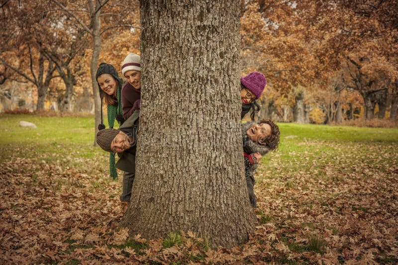 Young Adults Putting Head Out a Big Trunk of a Tree Stock Image - Image ...