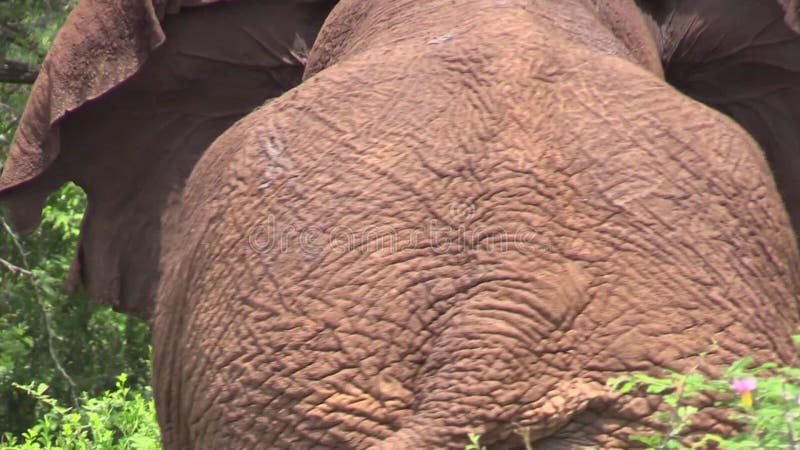 Martin Muller (Africansunproductions) - Photographer profile