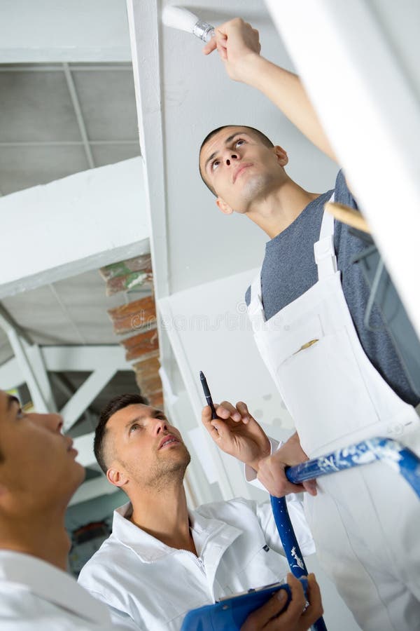 Young Apprentice Painter in Professional Training Stock Image - Image ...
