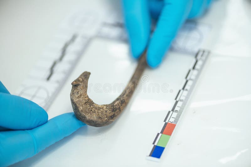 Ancient measuring tool stock photo. Image of planning - 12320692