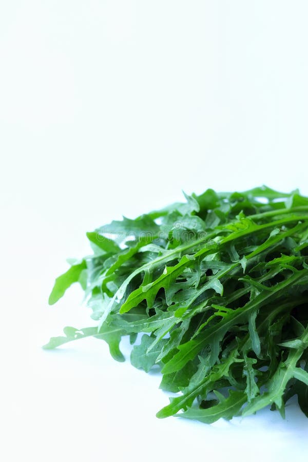 Young Arugula Leaves on a White Background Stock Photo - Image of ...