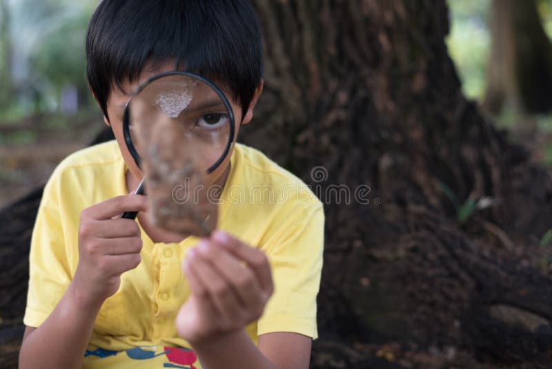 Child Observing Nature With A Magnifying Glass Stock Photo - Image of ...