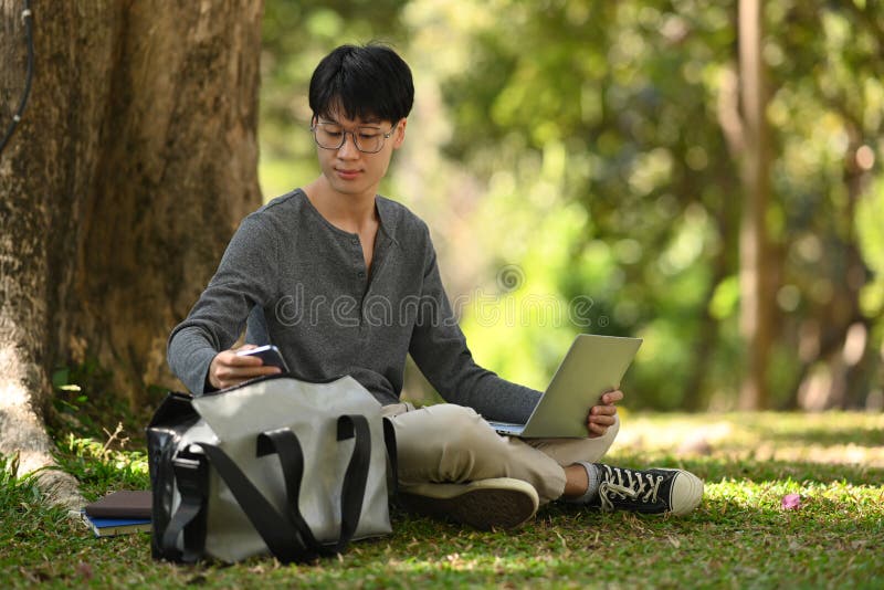 Young Asian Man Student Using Laptop Under the Tree in Evening Sunlight ...