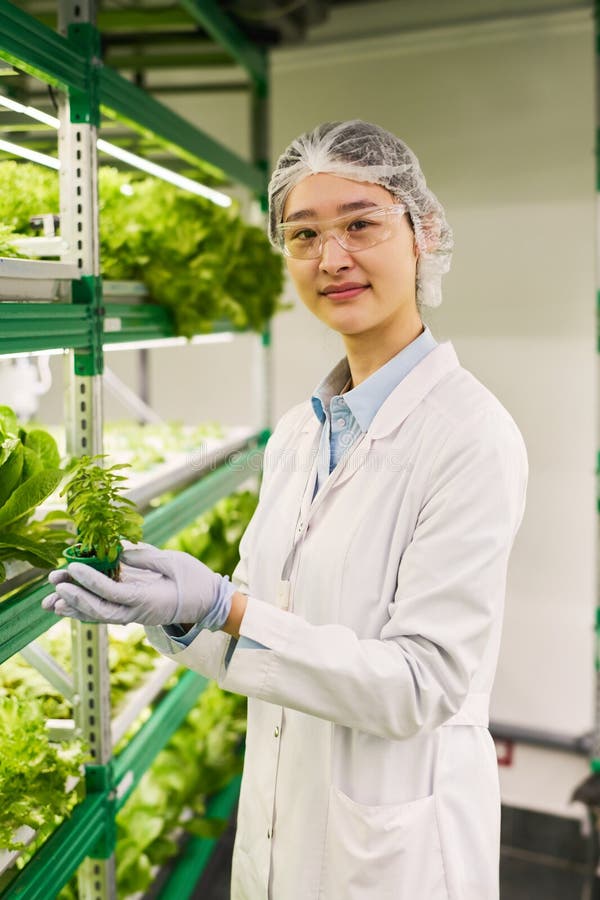 Young Asian Scientist or Worker of Vertical Farm Holding Green Seedling ...