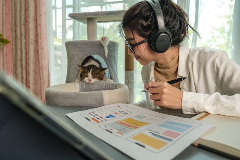 Young Asian Woman Working from Home with Her Cat Stock Image - Image of ...
