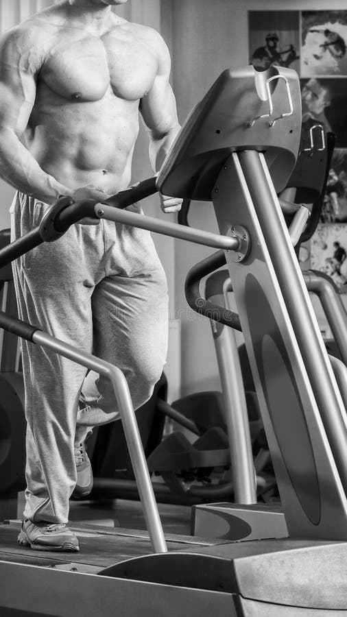 The Young Athlete in the Gym Stock Photo - Image of masculine, club ...