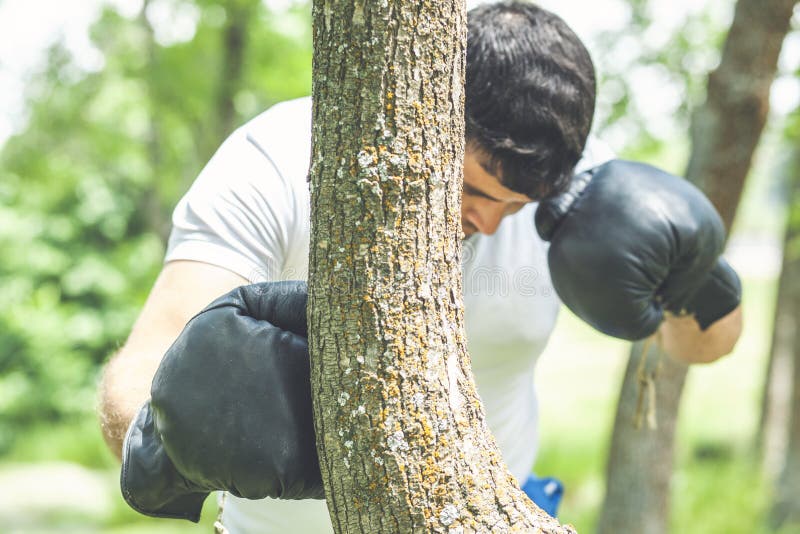Man Having Boxing Workout in the Forest Stock Image - Image of boxer ...