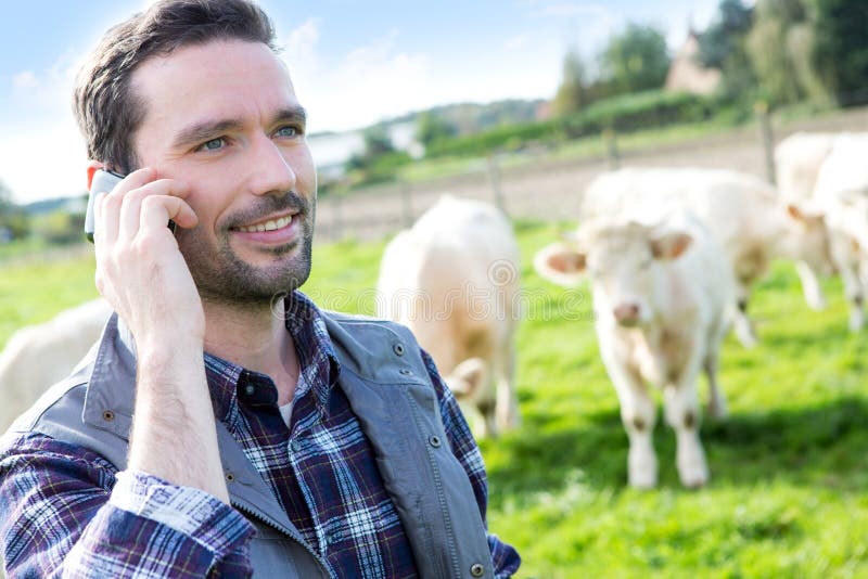 Young Attractive Farmer Using Mobile Phone in a Field Stock Image ...
