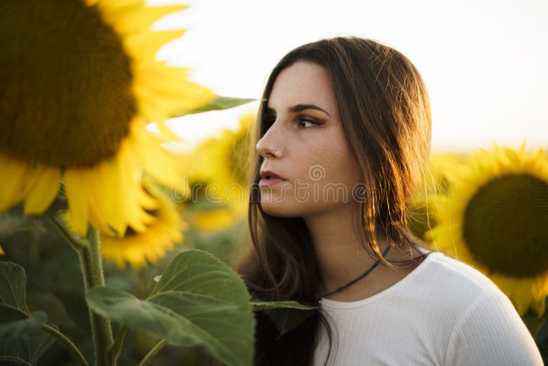 Young and Attractive Female Standing among Full Bloom Sunflower Fields ...