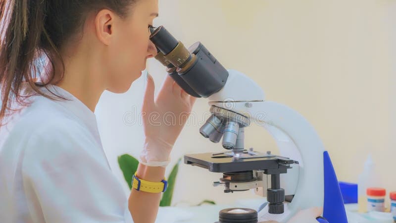Veterinary Worker Using Microscope for Testing Blood Samples of Animals ...