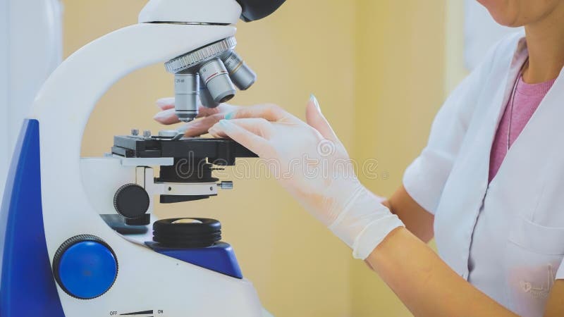 Veterinary Worker Using Microscope for Testing Blood Samples of Animals ...