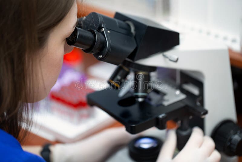 Young Attractive Veterinary Worker in Gloves Using Microscope for ...