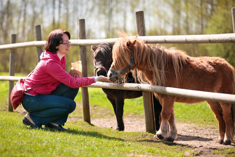 Young Attractive Woman Feeding Two Ponies Stock Image - Image of female ...
