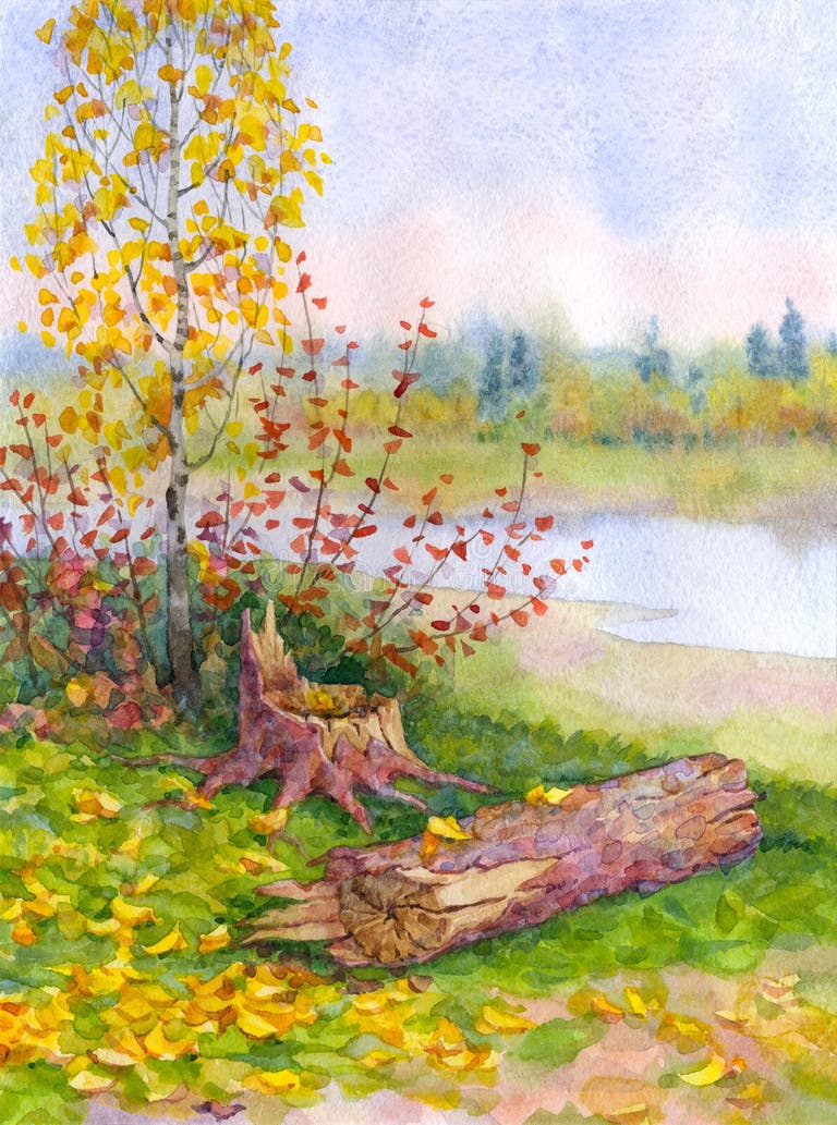 Fallen Tree Forest Stock Illustrations – 7,426 Fallen Tree Forest Stock ...