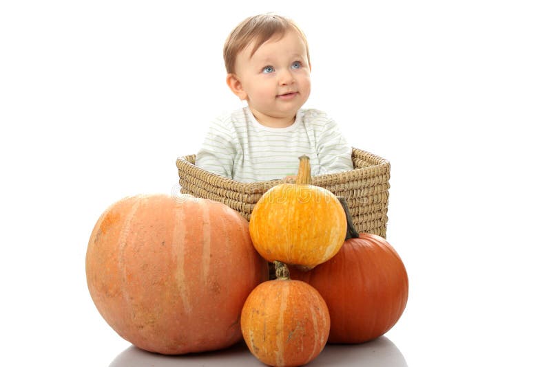 Fall Baby Cornucopia stock image. Image of horn, avocado - 27750511