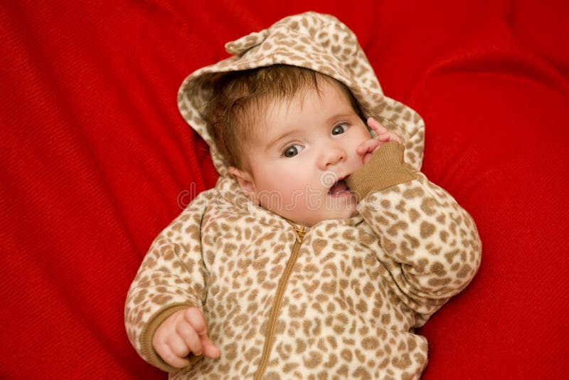 Young baby portrait stock photo. Image of newborn, beautiful - 41689314