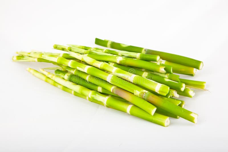 Young bamboo bud stock photo. Image of ingredient, root - 24659044