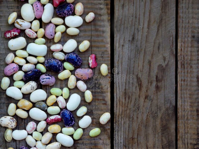 Young Beans of Different Varieties and Colors with a Side Border Stock ...