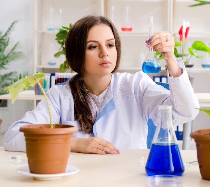 Young Beautiful Biotechnology Chemist Working in the Lab Stock Image ...