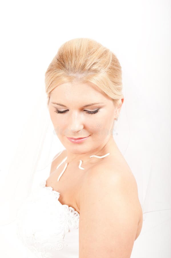 Young Beautiful Bride with Veil on Her Wedding Stock Image - Image of ...