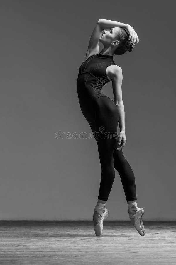 Young Beautiful Dancer Posing in Studio Stock Photo - Image of agility ...