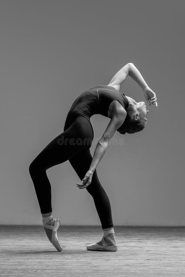 Young Beautiful Dancer Posing in Studio Stock Photo - Image of agility ...