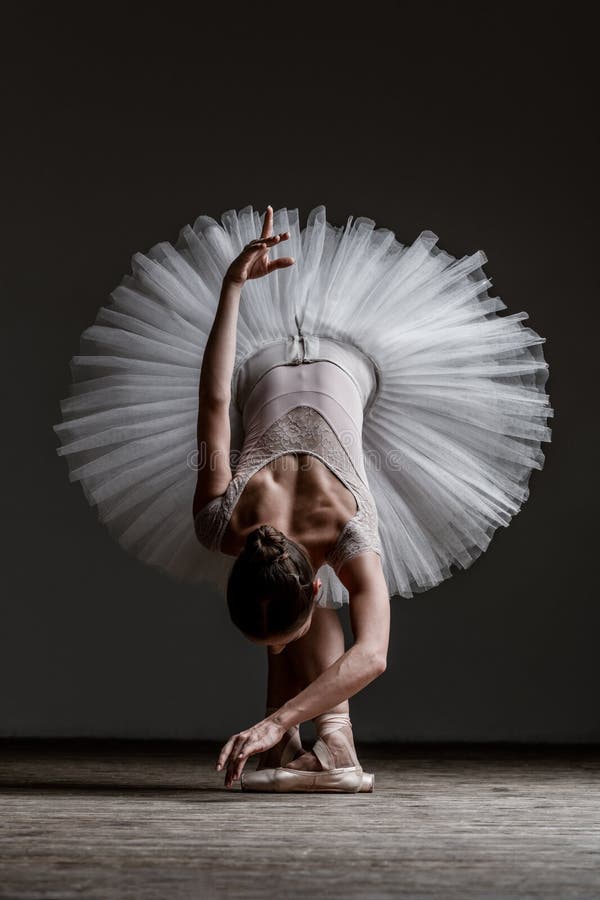 Young Beautiful Dancer Is Posing In Studio Stock Image - Image of ...