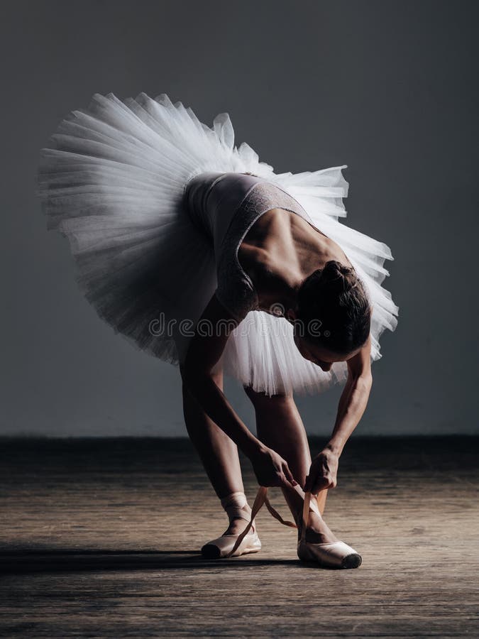 Young Beautiful Dancer Posing in Studio Stock Image - Image of acrobat ...