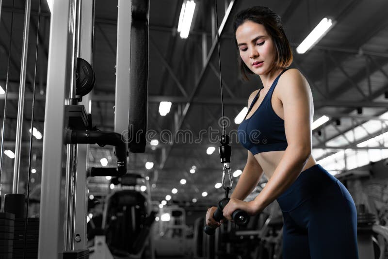 Young Beautiful Fit Woman Working Out in the Gym Stock Photo - Image of ...