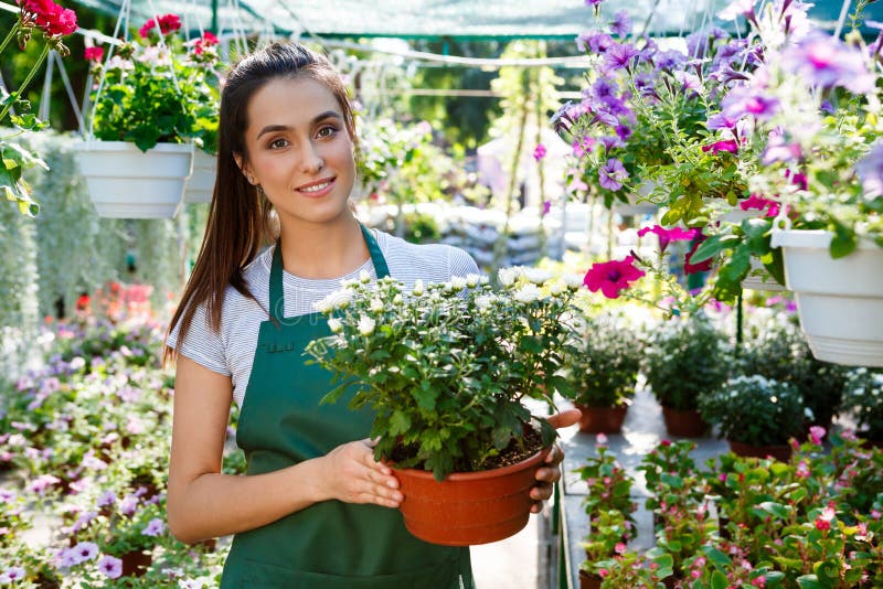 Young Beautiful Florist Posing, Smiling among Flowers. Stock Photo ...