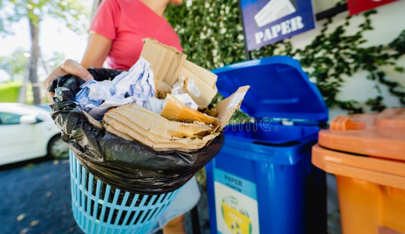 A Young Beautiful Girl Throws Sorted Garbage into Special Bins Stock ...